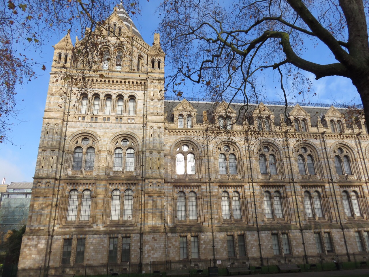 Intuition: Part of history | gerald-chew.com